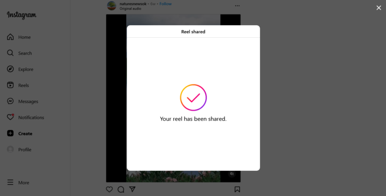 How to Make Scroll-Stopping Instagram Reels [Complete Guide]