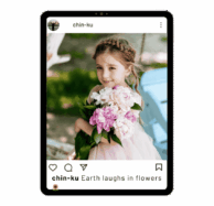 450+ Flower Captions for Instagram (78 Curated Lists)