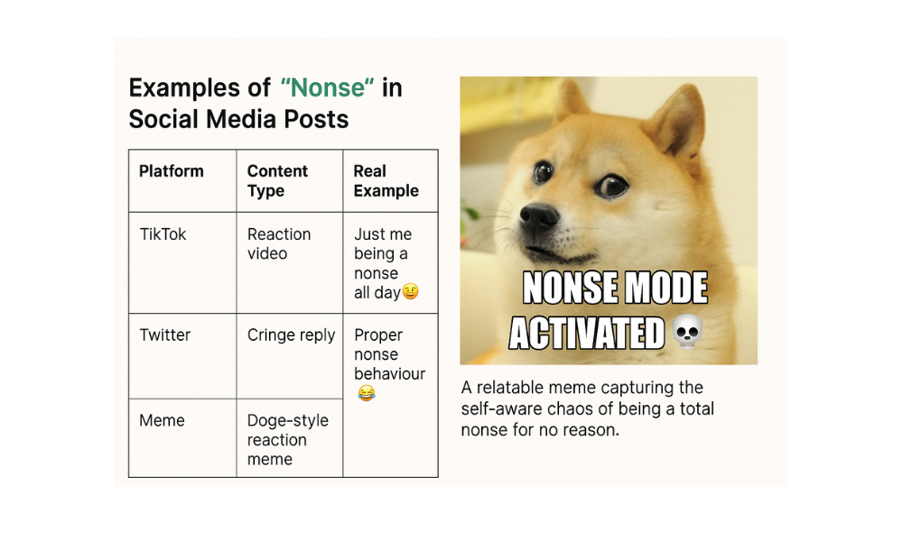 Nonse Meaning: Explained 2025 Social Media Slang