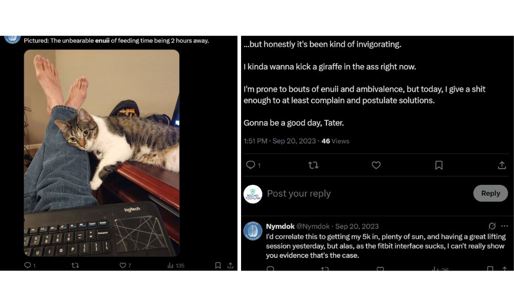 Ennui Meaning: Definition and Usage on Social Media