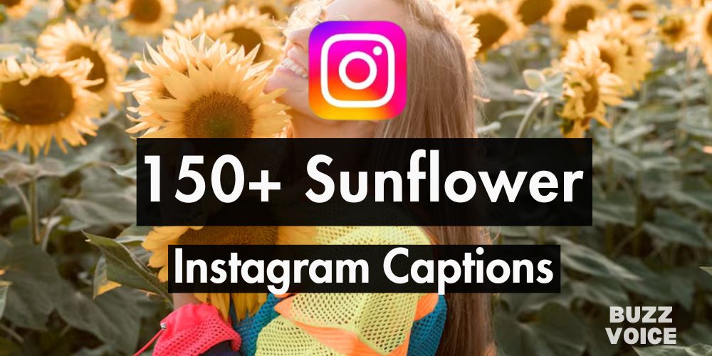 150+ Sunflower Instagram Captions (13 Curated Lists)